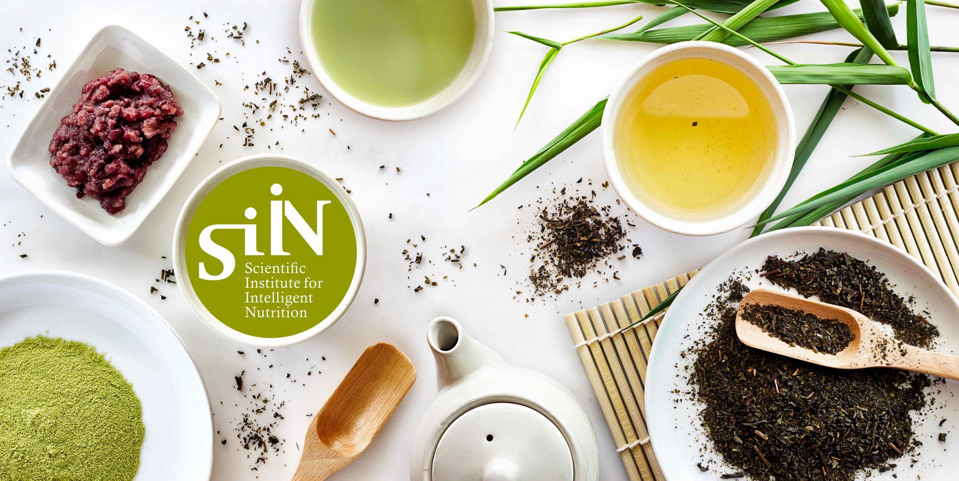 Notre partenariat avec le SiiN Institute. | Mosa Ballet School